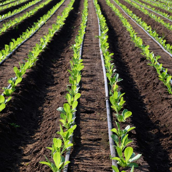 HRP Infra - Projects Portfolio